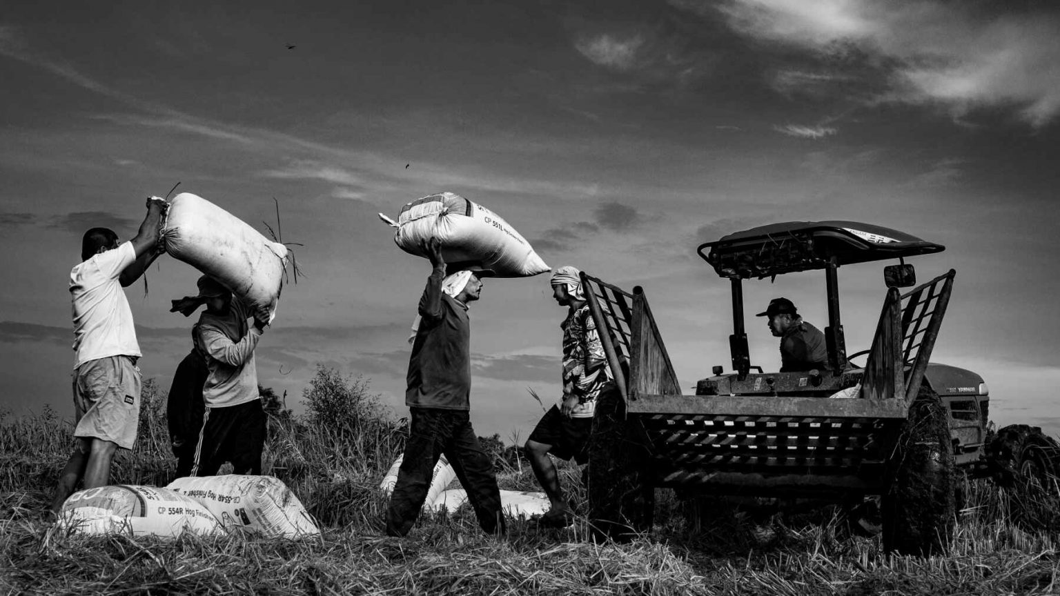 Capturing Culture: Singku Cafe announces winners of their first-ever ...